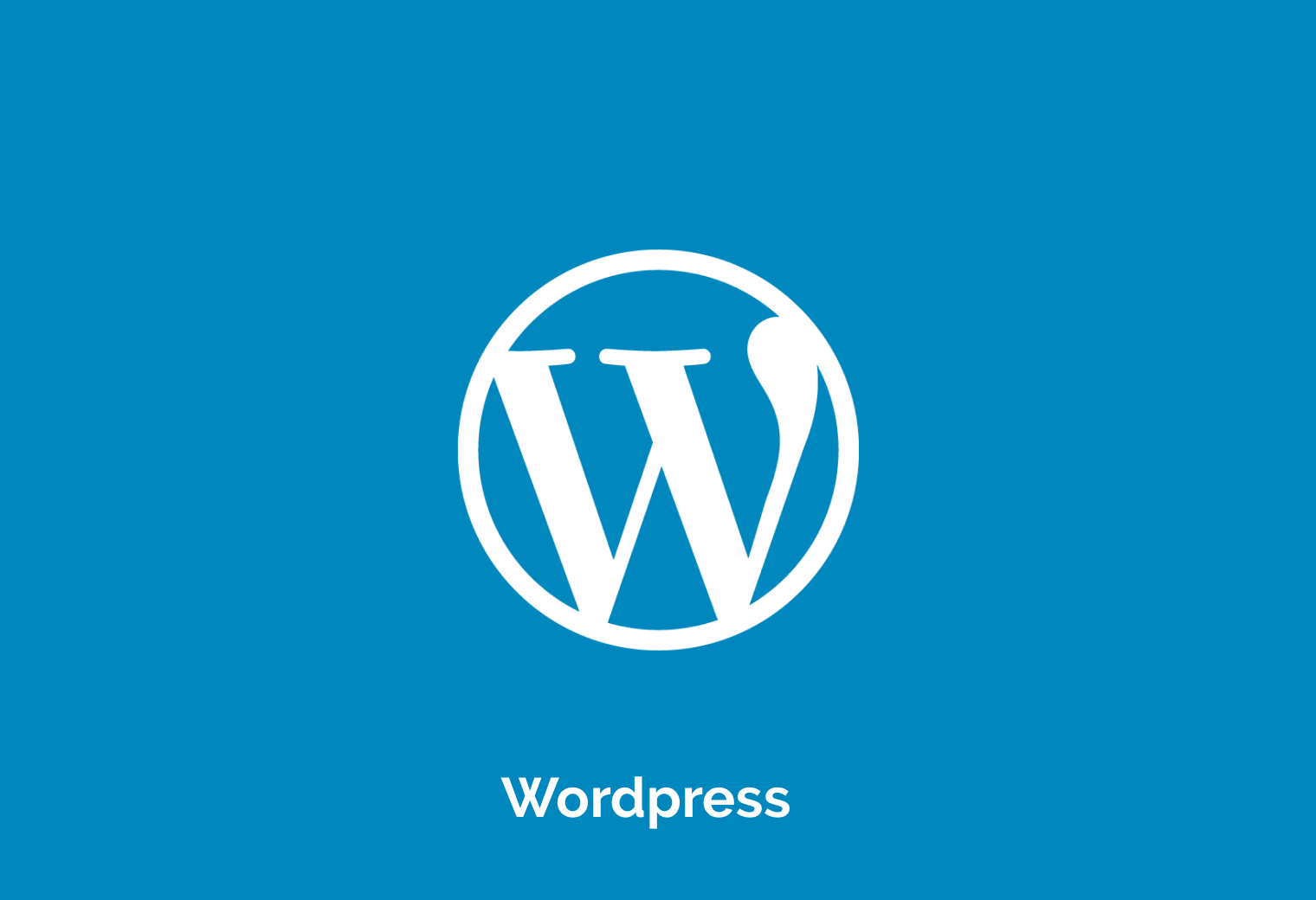 Wordpress : le CMS de référence robuste et complet